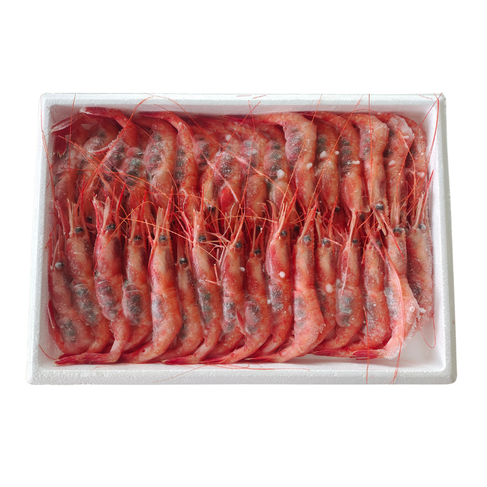 Ama Ebi (Japanese Sweet Shrimp) 800G あまえび – Kaizenya